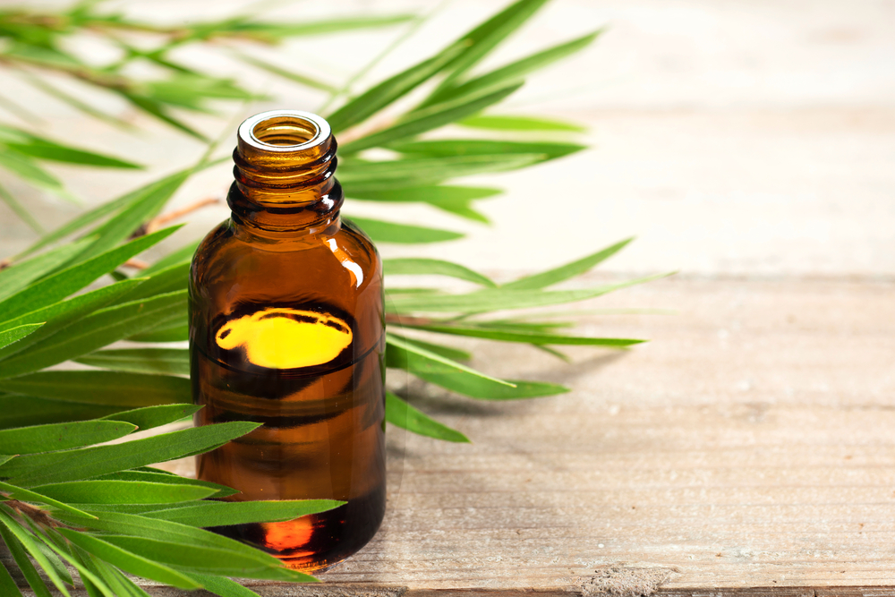 Tea Tree Oil: Benefits, Uses, Side Effects, and More